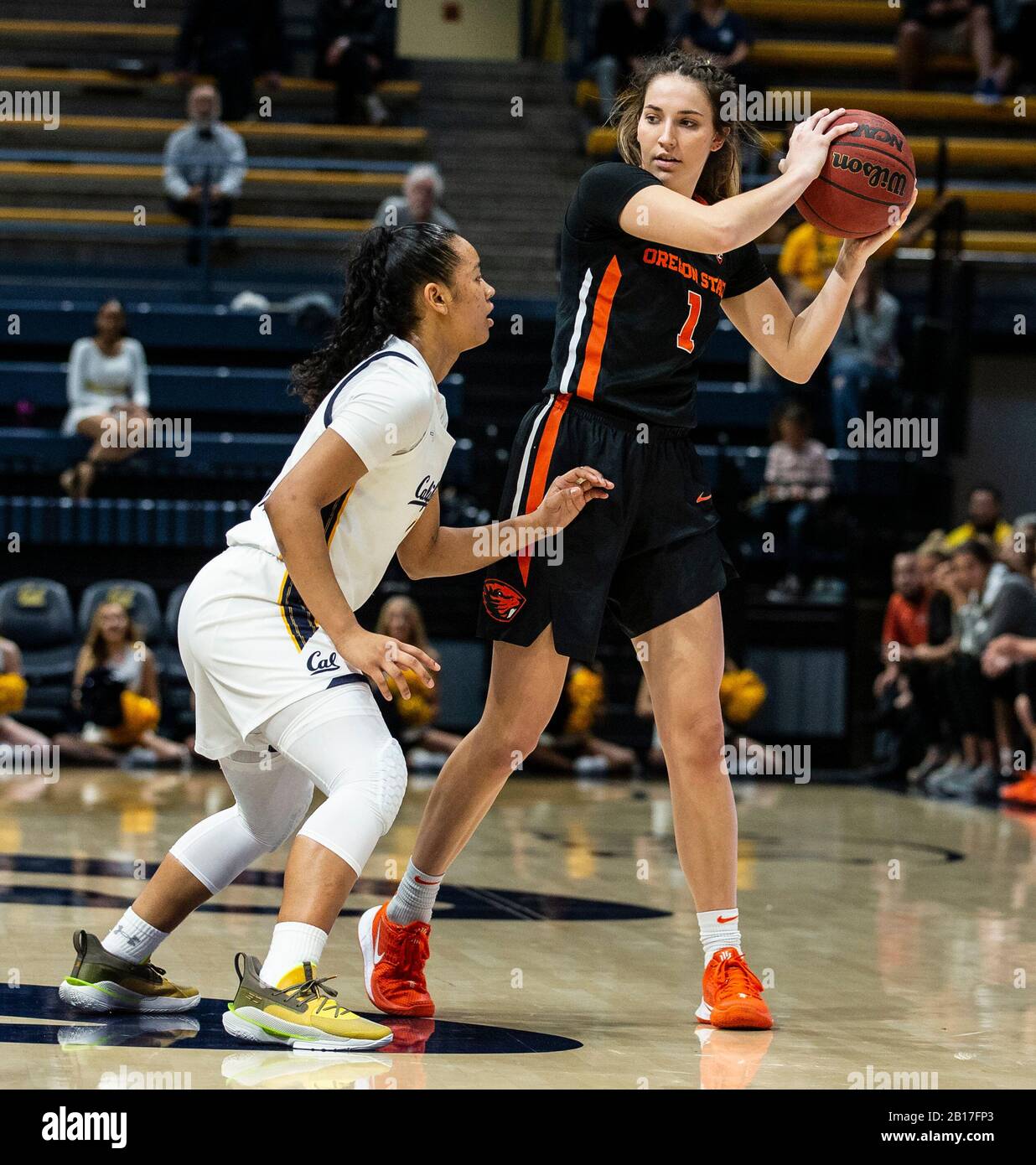 Goodman bay hi-res stock photography and images - Alamy