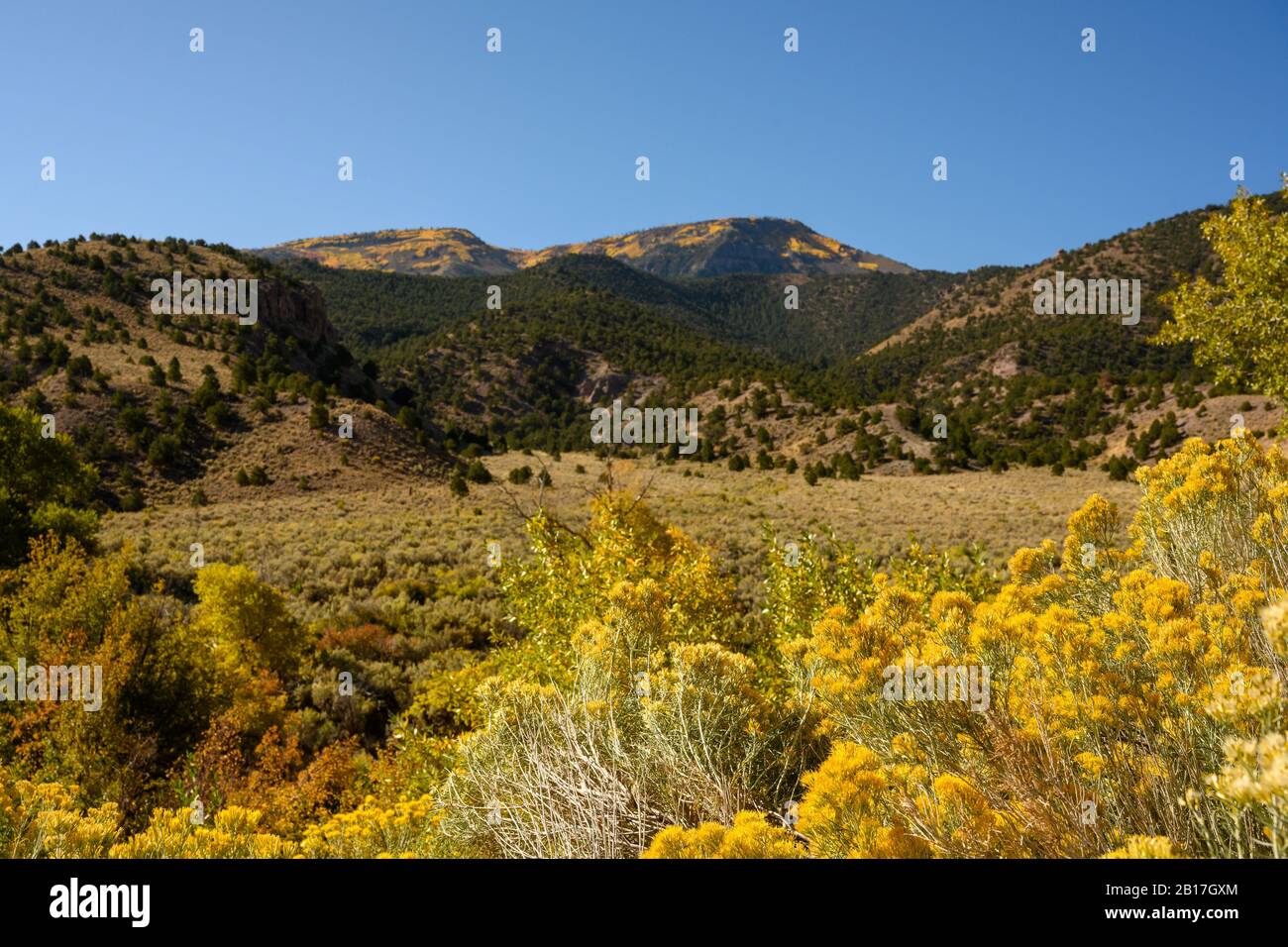 Creep along hi-res stock photography and images - Alamy