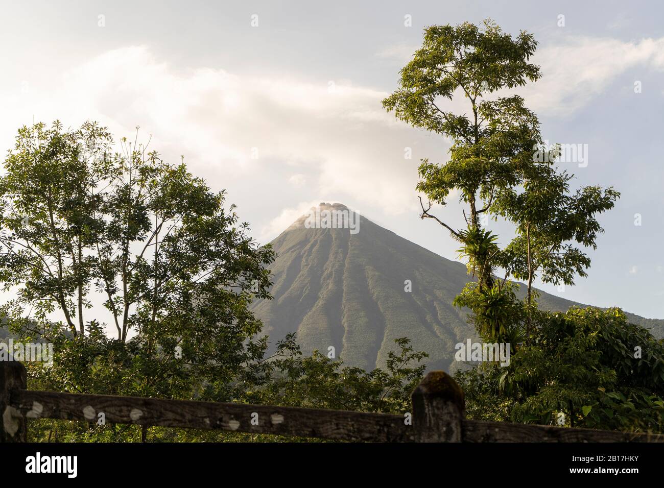 Costa Rica, Alajuela Province, La Fortuna, Trees against Arenal Volcano ...