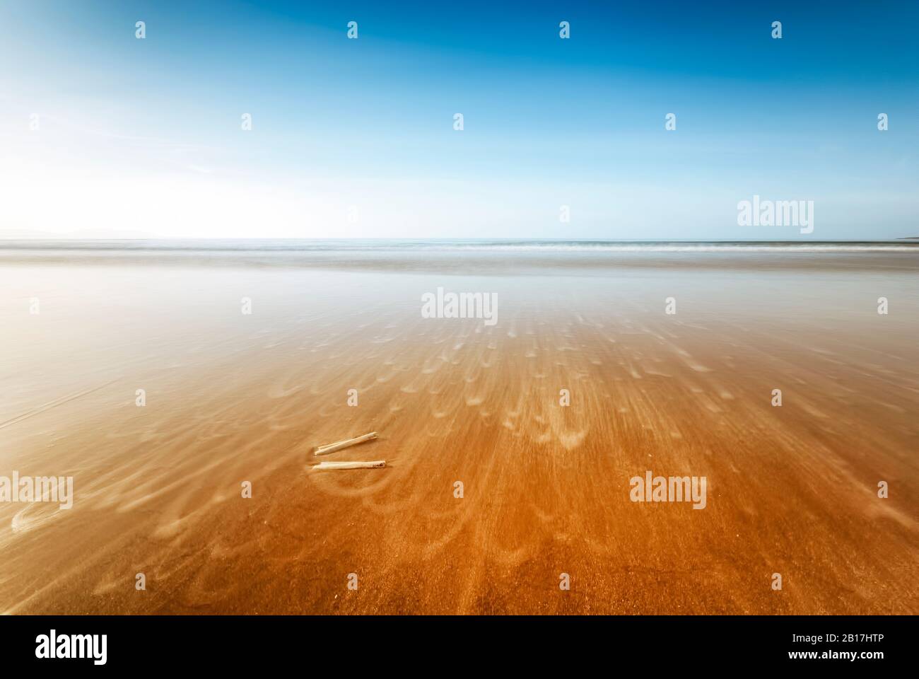 Ensis arcuatus hi-res stock photography and images - Alamy