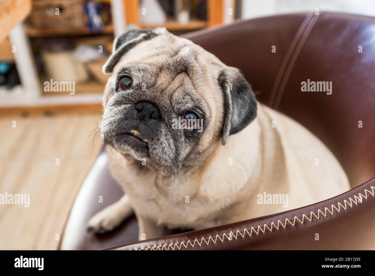 Sitting down on chair chairs hi-res stock photography and images - Alamy