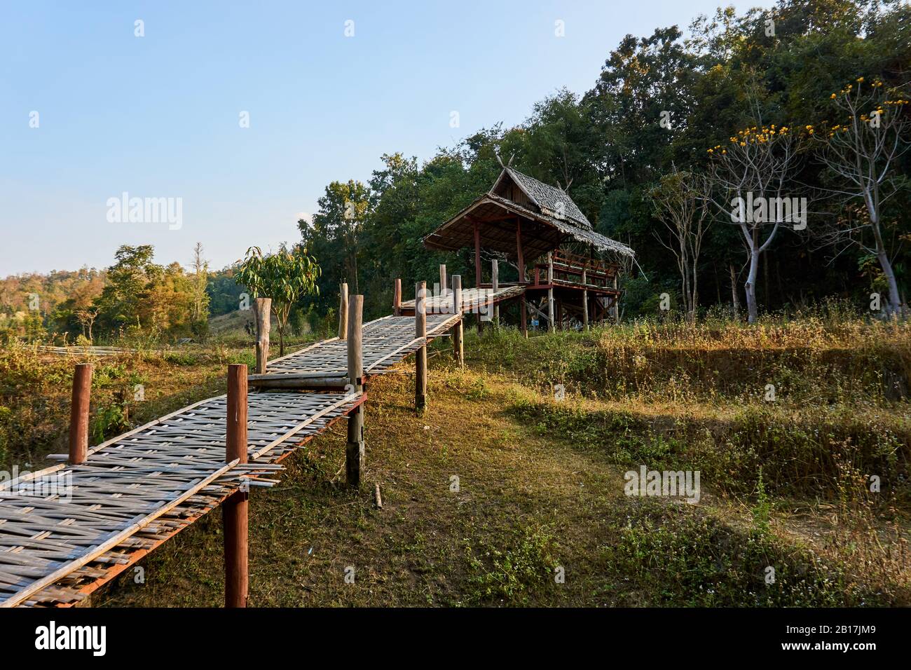 Paddy field view 05 hi-res stock photography and images - Alamy