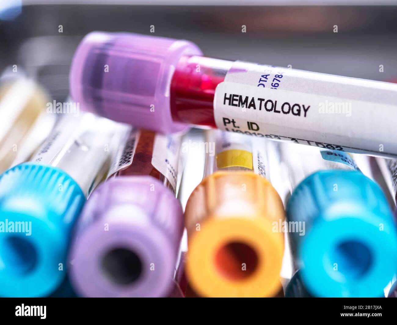 Human blood samples awaiting screening in lab Stock Photo - Alamy
