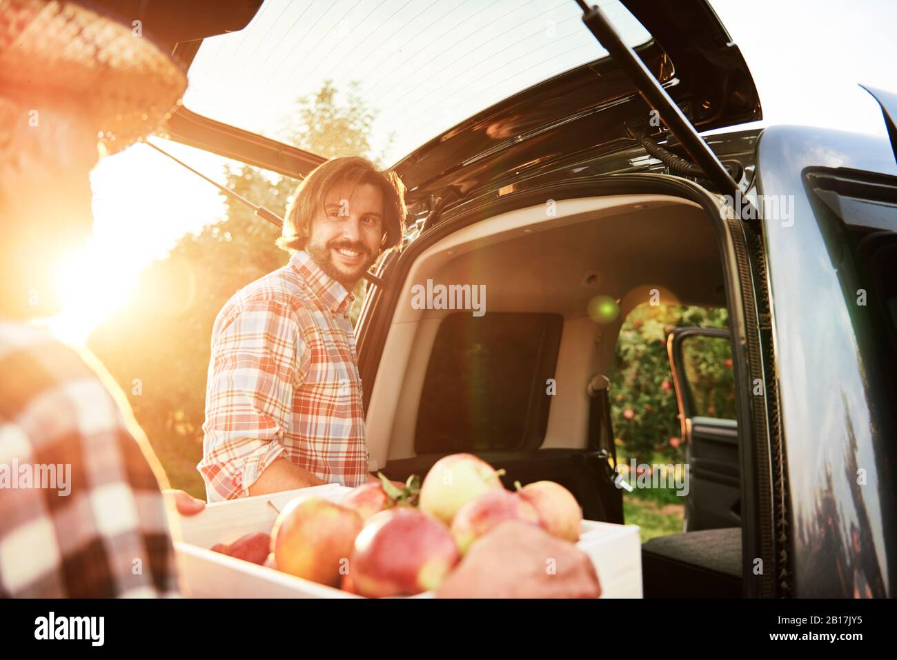 Fruit grower loading car with apple crates Stock Photo - Alamy