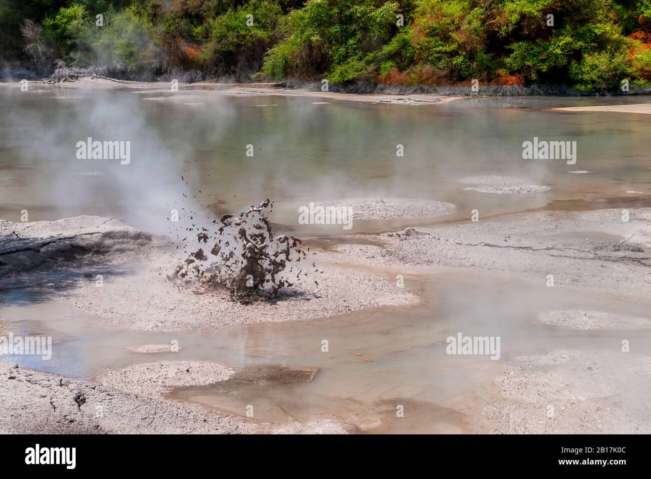 Roturua new zealand hi-res stock photography and images - Alamy