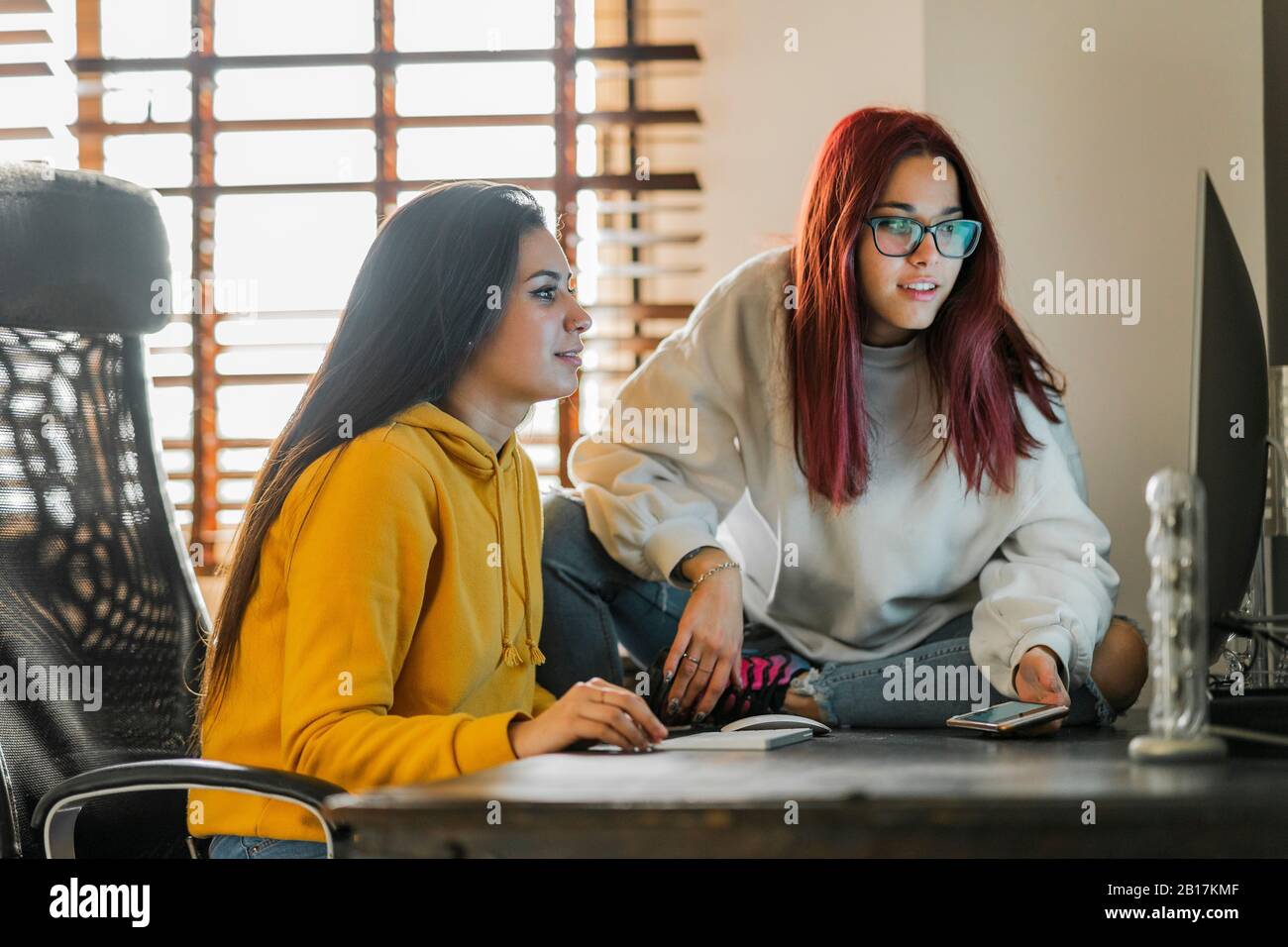 Two teenage girls using computer at home Stock Photo - Alamy