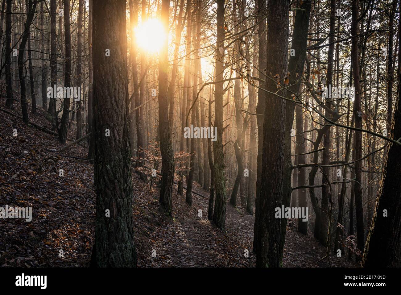 Hauenstein hi-res stock photography and images - Alamy