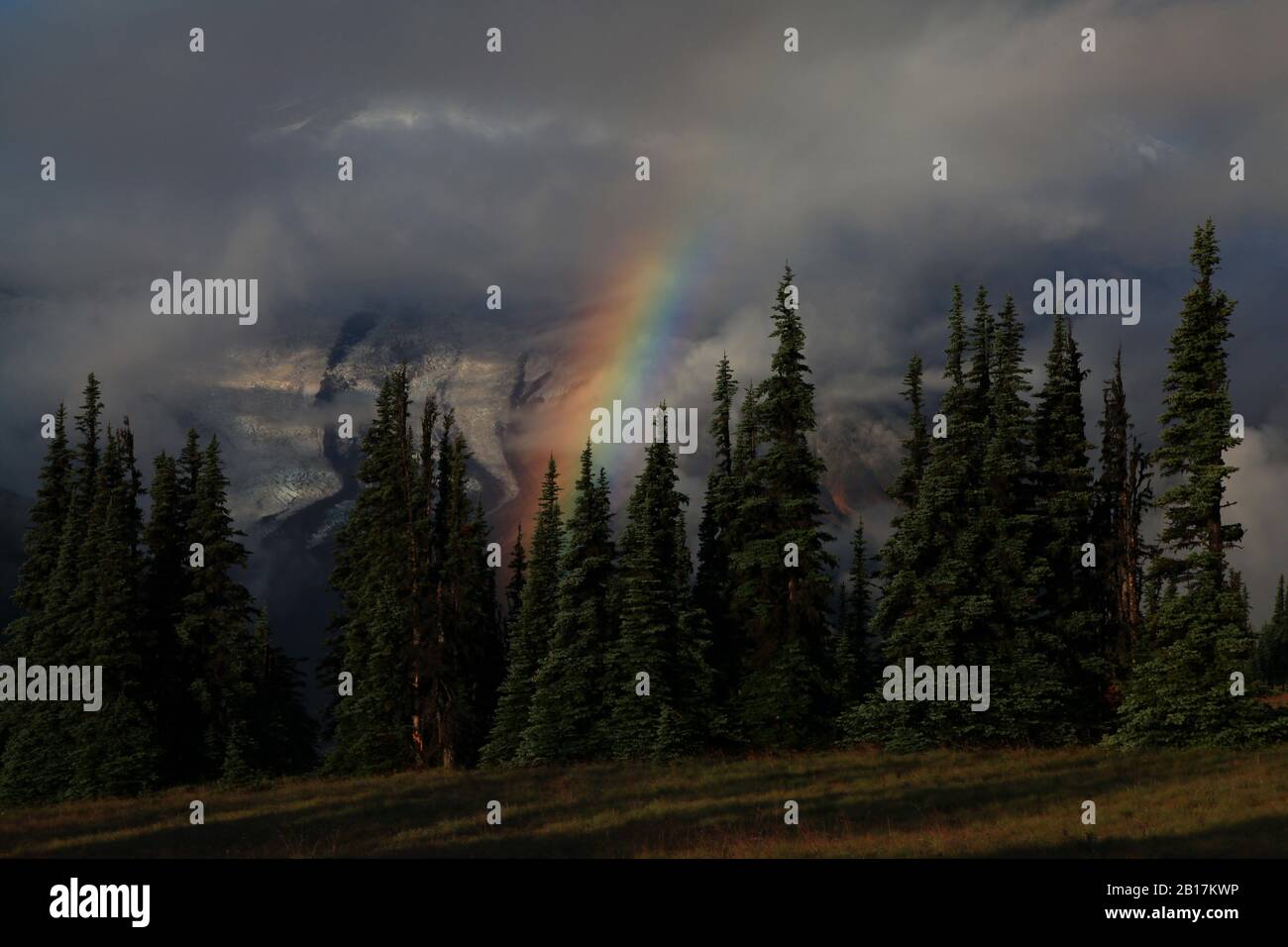 Yakima washington state hi-res stock photography and images - Alamy