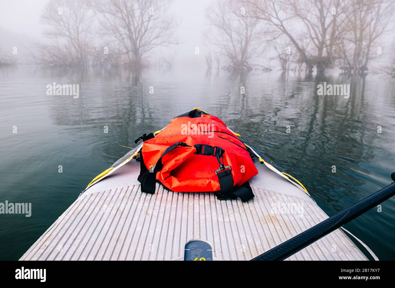 Surfing life jacket hi-res stock photography and images - Alamy