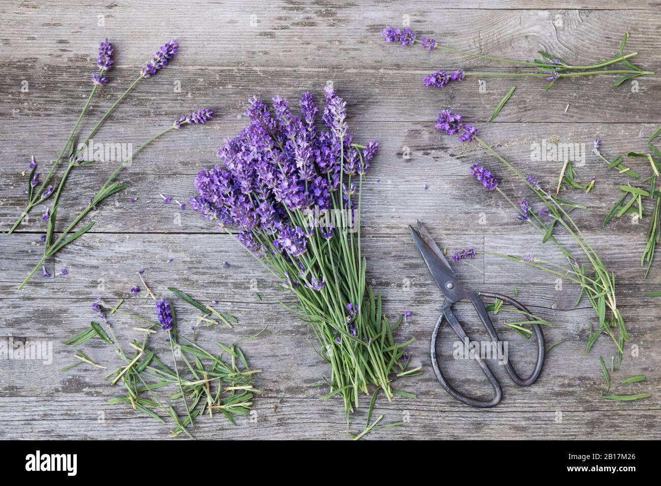 Lavender table overhead hi-res stock photography and images - Alamy