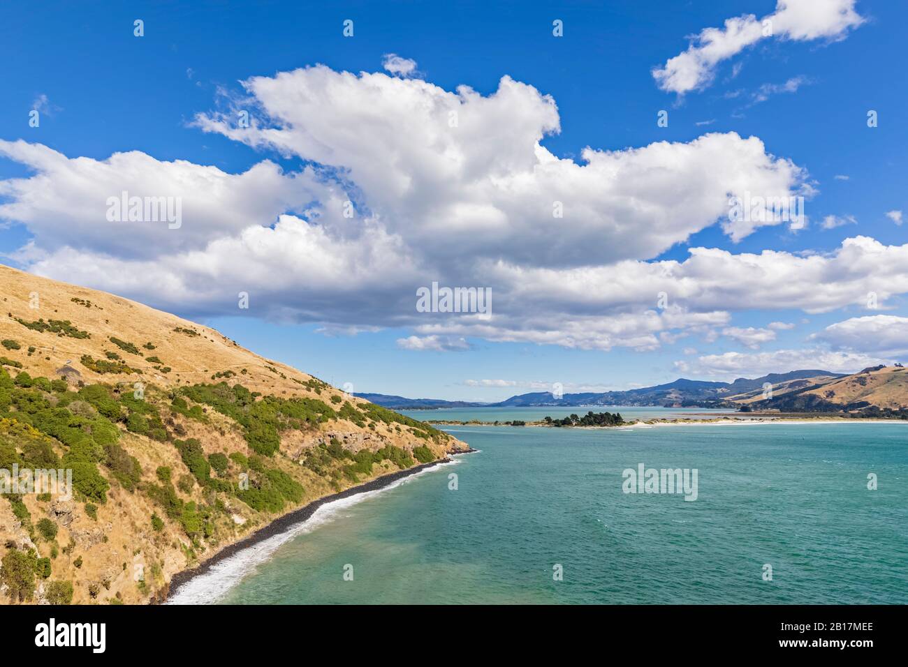 Taiaroa headland hi-res stock photography and images - Alamy