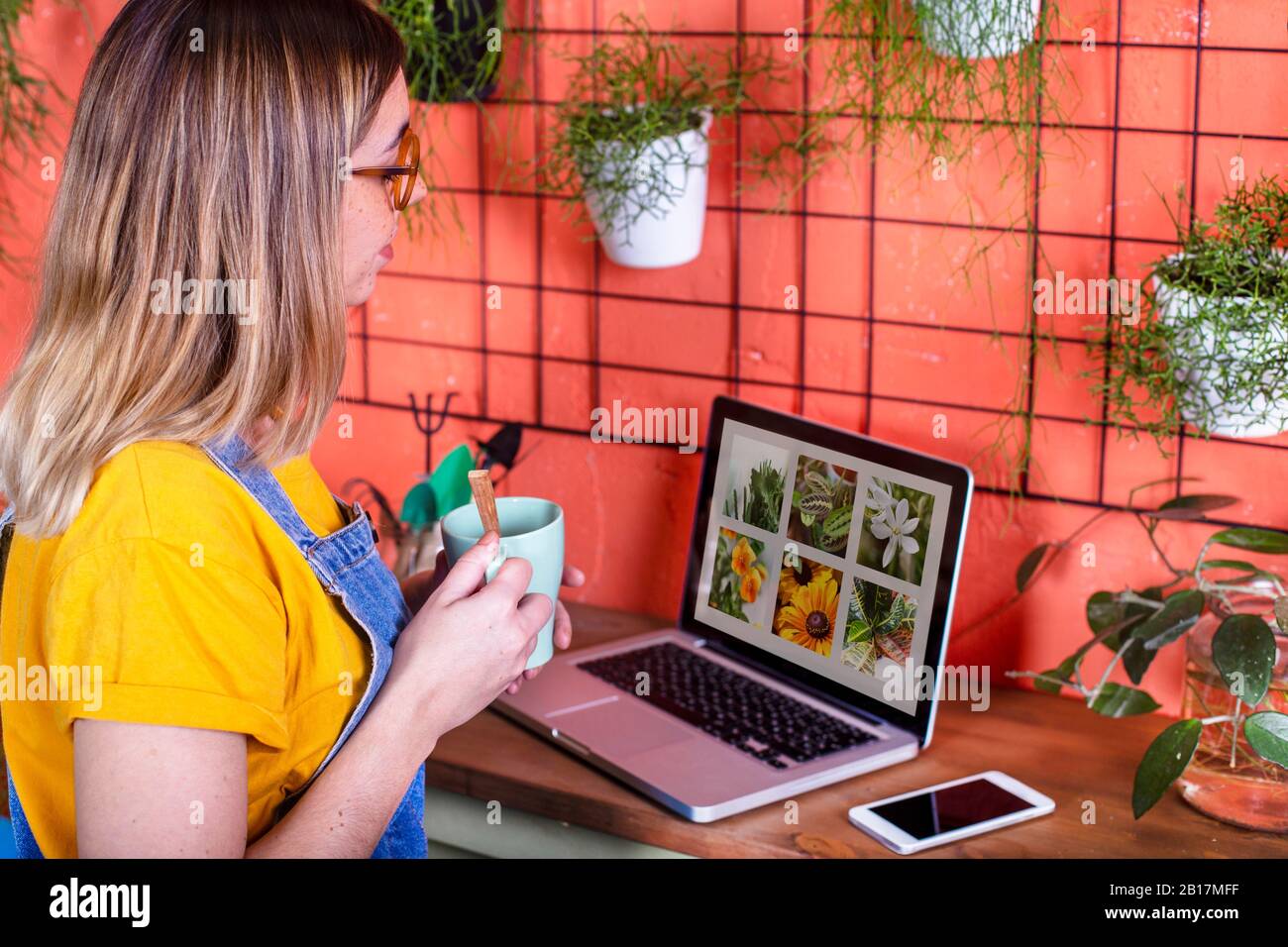 Woman computer shop back view hi-res stock photography and images - Alamy