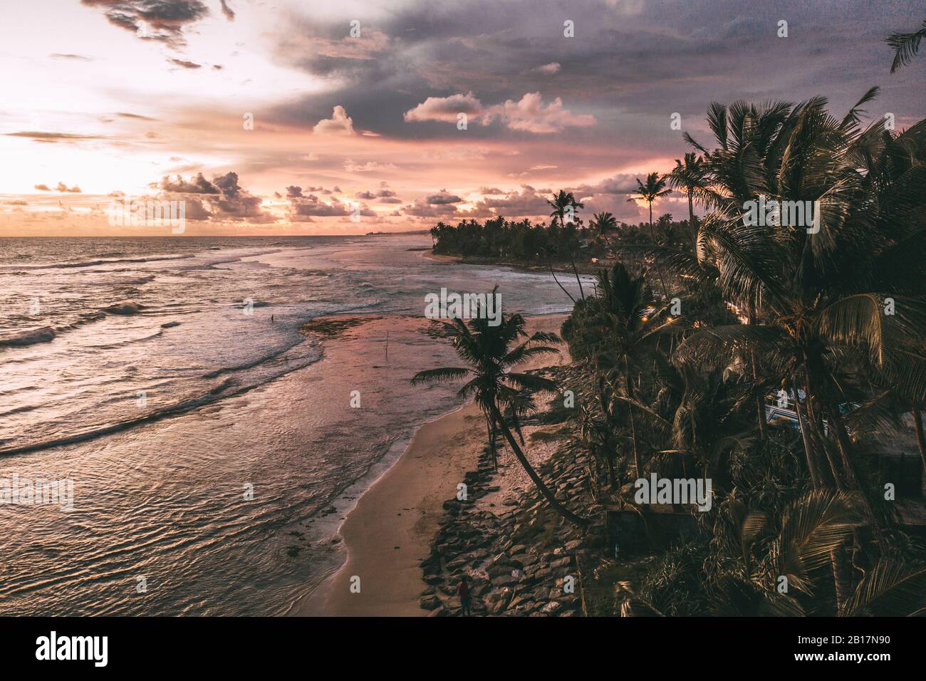 Sri Lanka, Southern Province, Ahangama, Aerial view of palm trees along ...