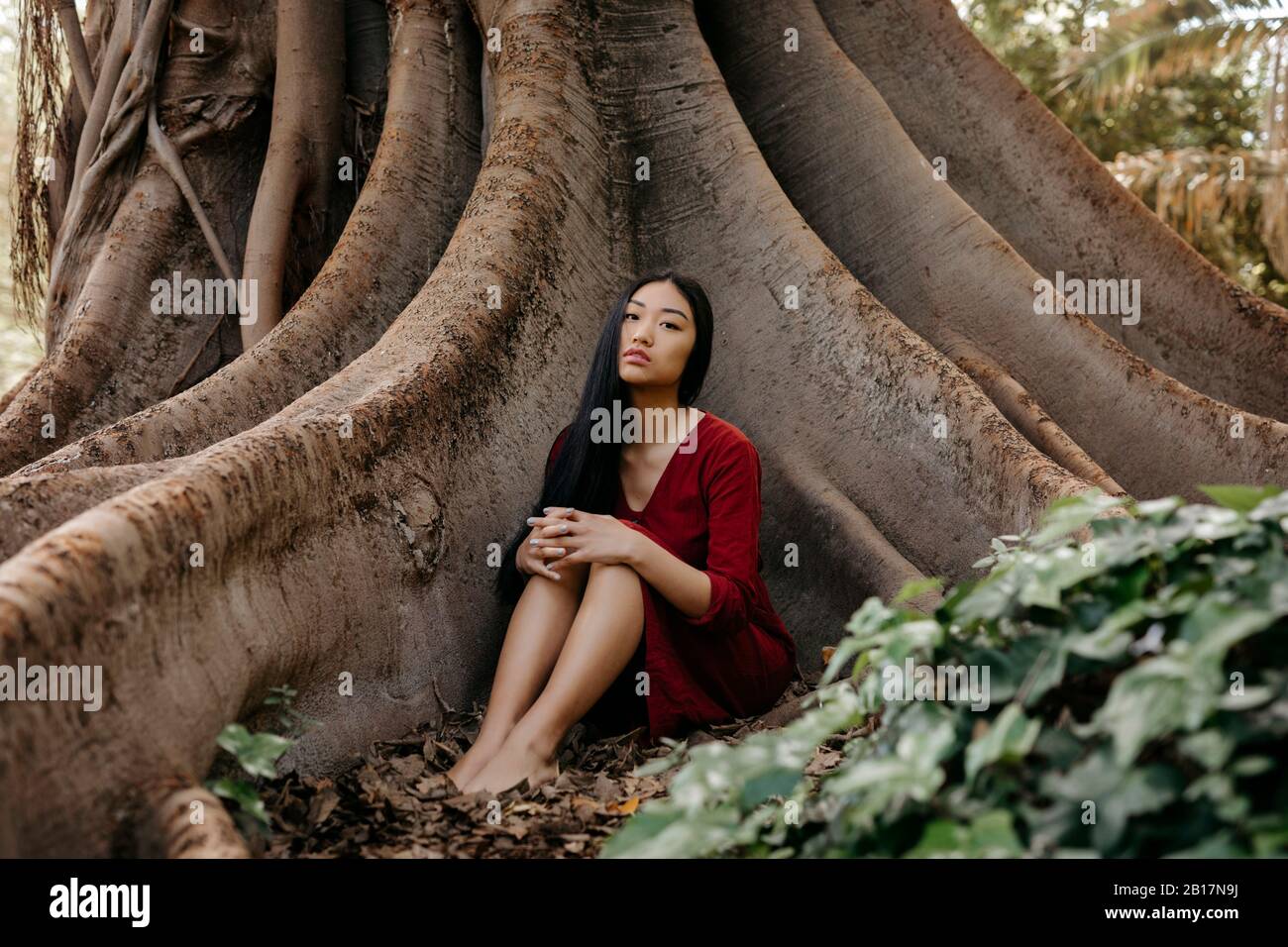 Young asian woman in front of a tree with very large roots Stock Photo ...