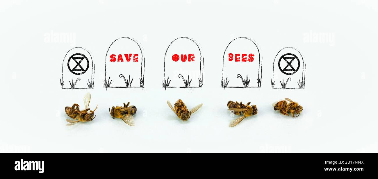 Save the bees hi-res stock photography and images - Alamy