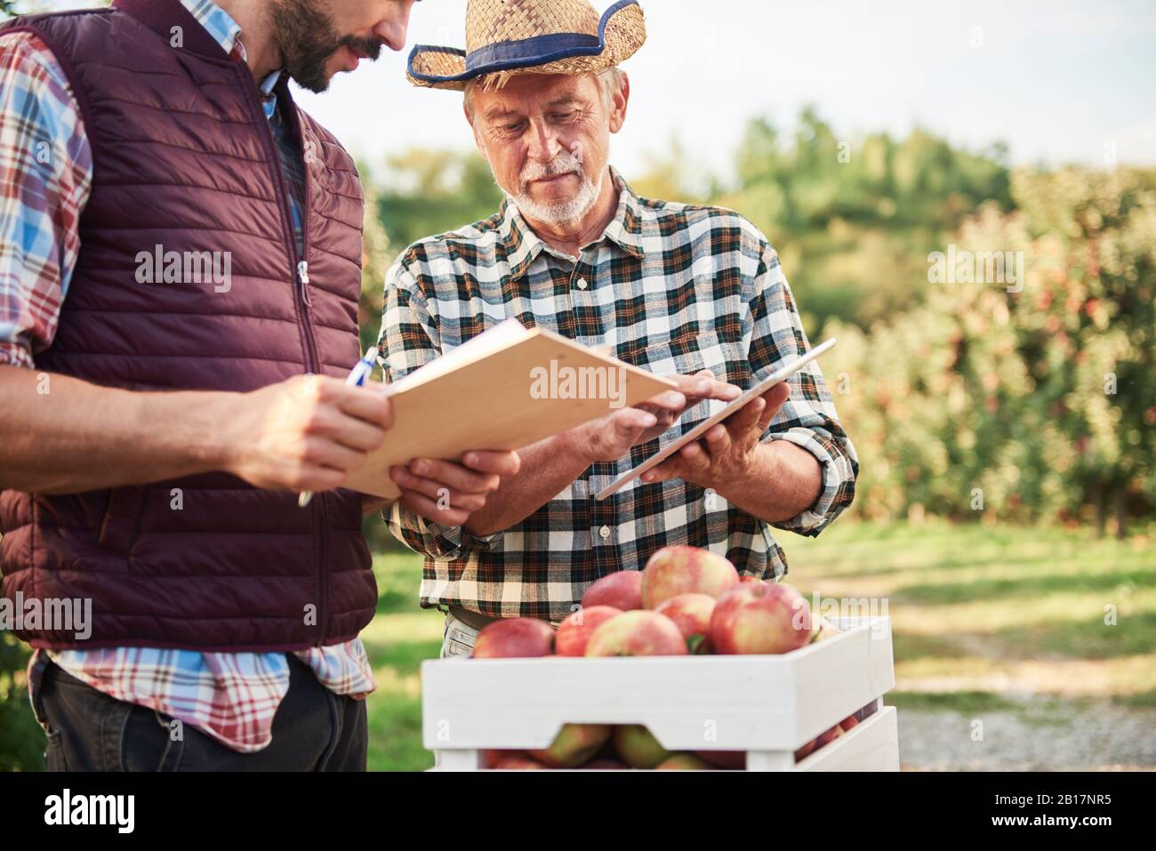 Professional fruit growers hi-res stock photography and images - Alamy