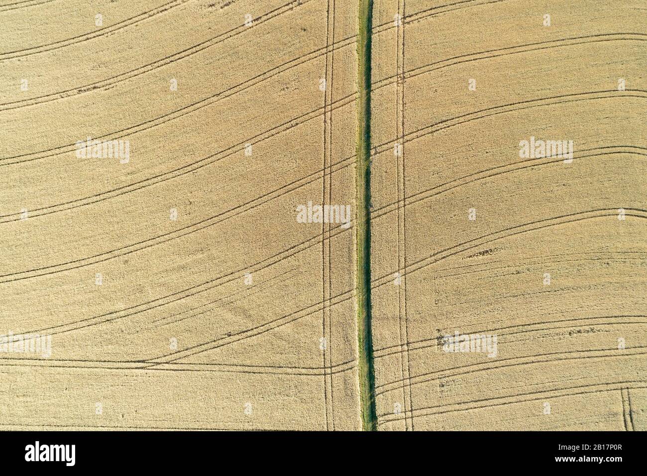 Aerial view of rural dirt road (tire track) through agricultural ripe ...