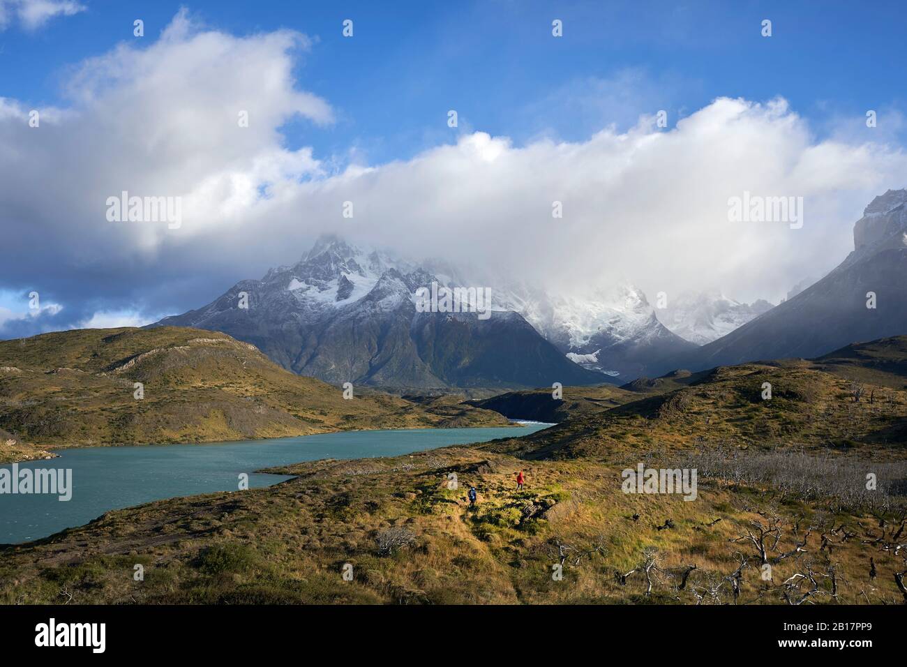 Chile,Patagonia,Magallanes and Chilean Antarctica Region,Ultima ...