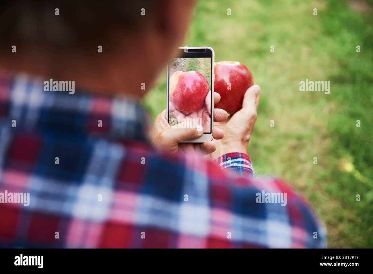 Photographing orchards hi-res stock photography and images - Alamy