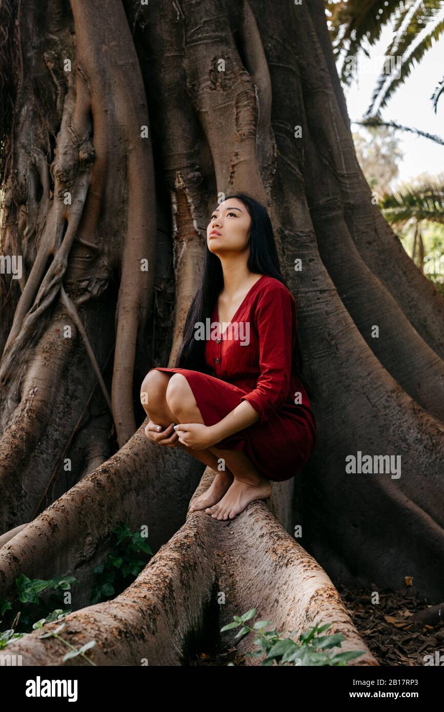 Young asian woman in front of a tree with very large roots Stock Photo ...