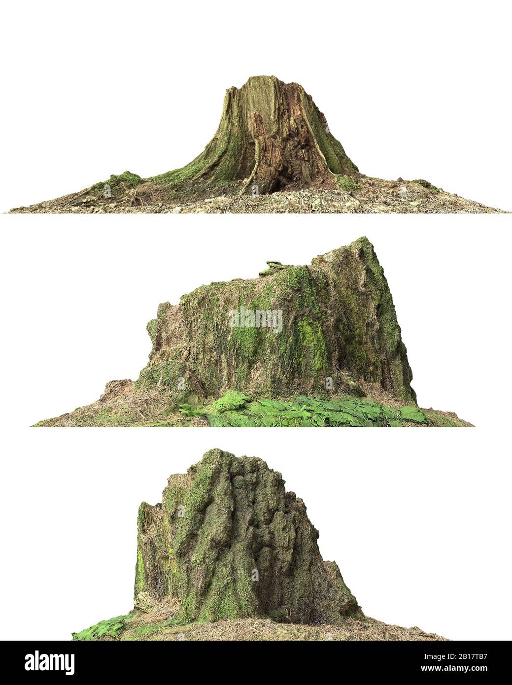 3d illustration stump dead tree isolated on white Stock Photo - Alamy