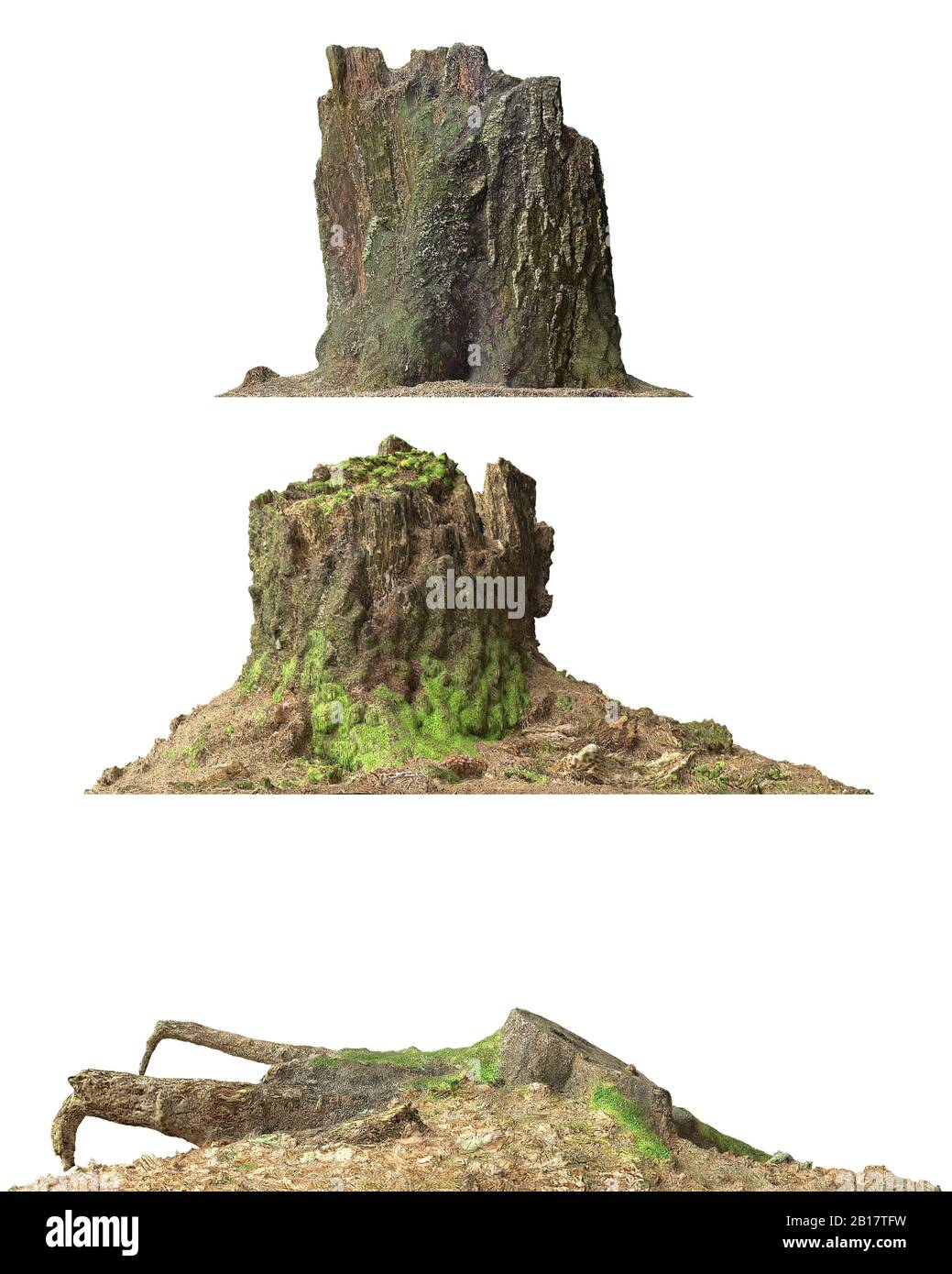 3d illustration stump dead tree isolated on white Stock Photo - Alamy