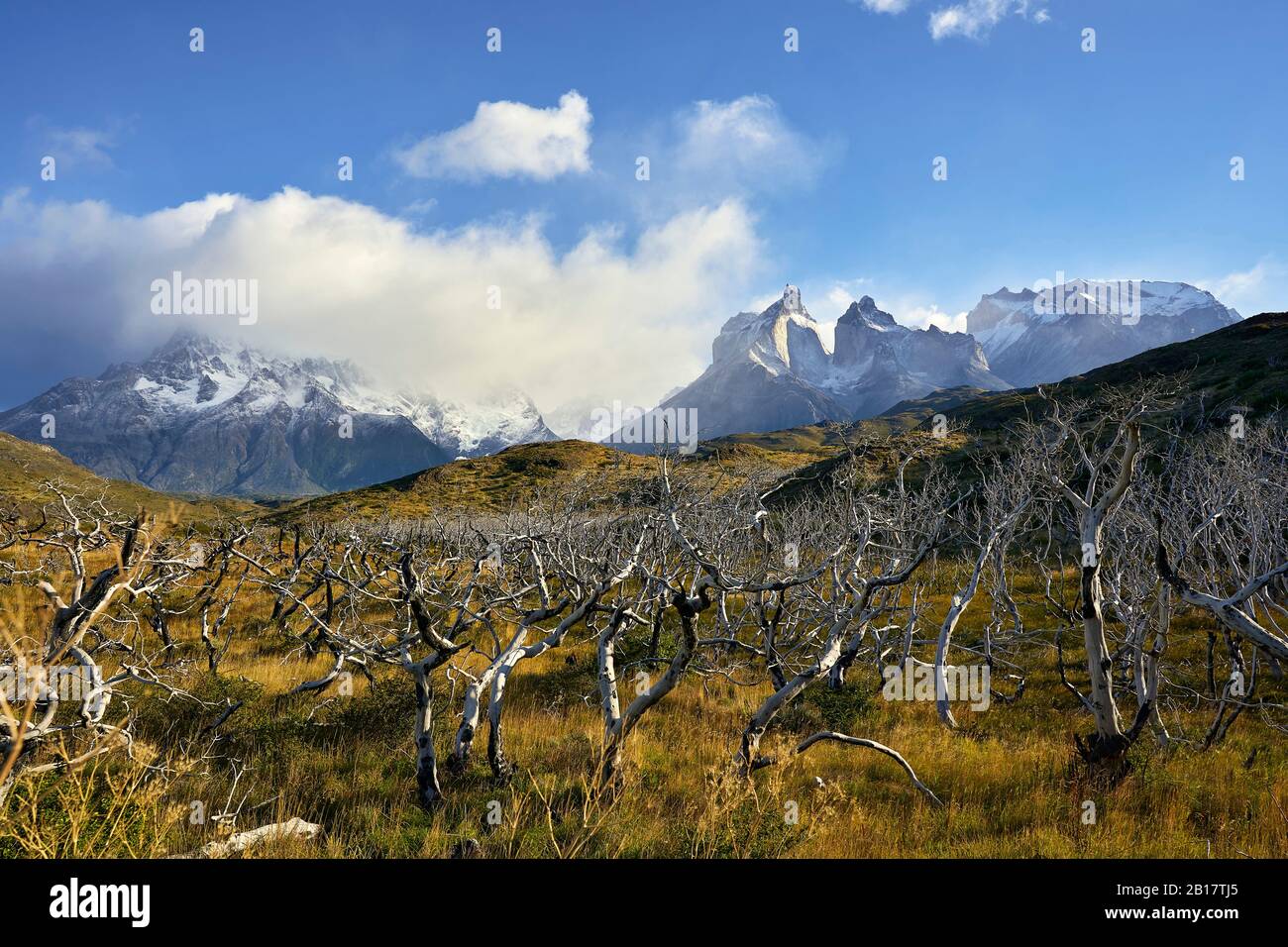 Chile,Patagonia,Magallanes and Chilean Antarctica Region,Ultima ...