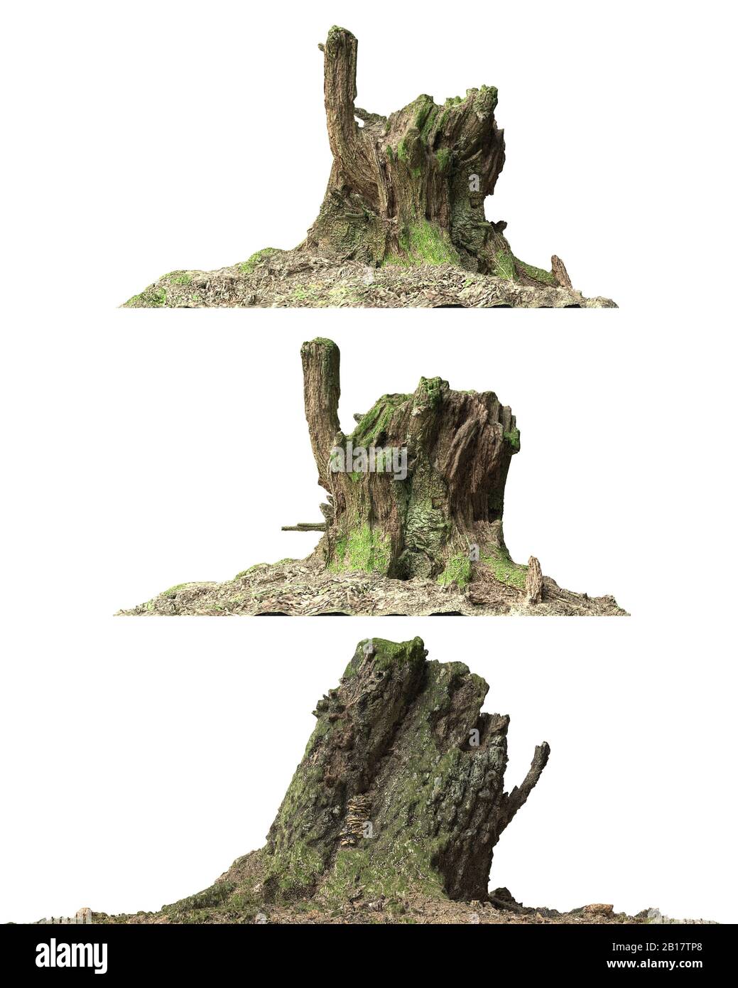 3d illustration stump dead tree isolated on white Stock Photo - Alamy