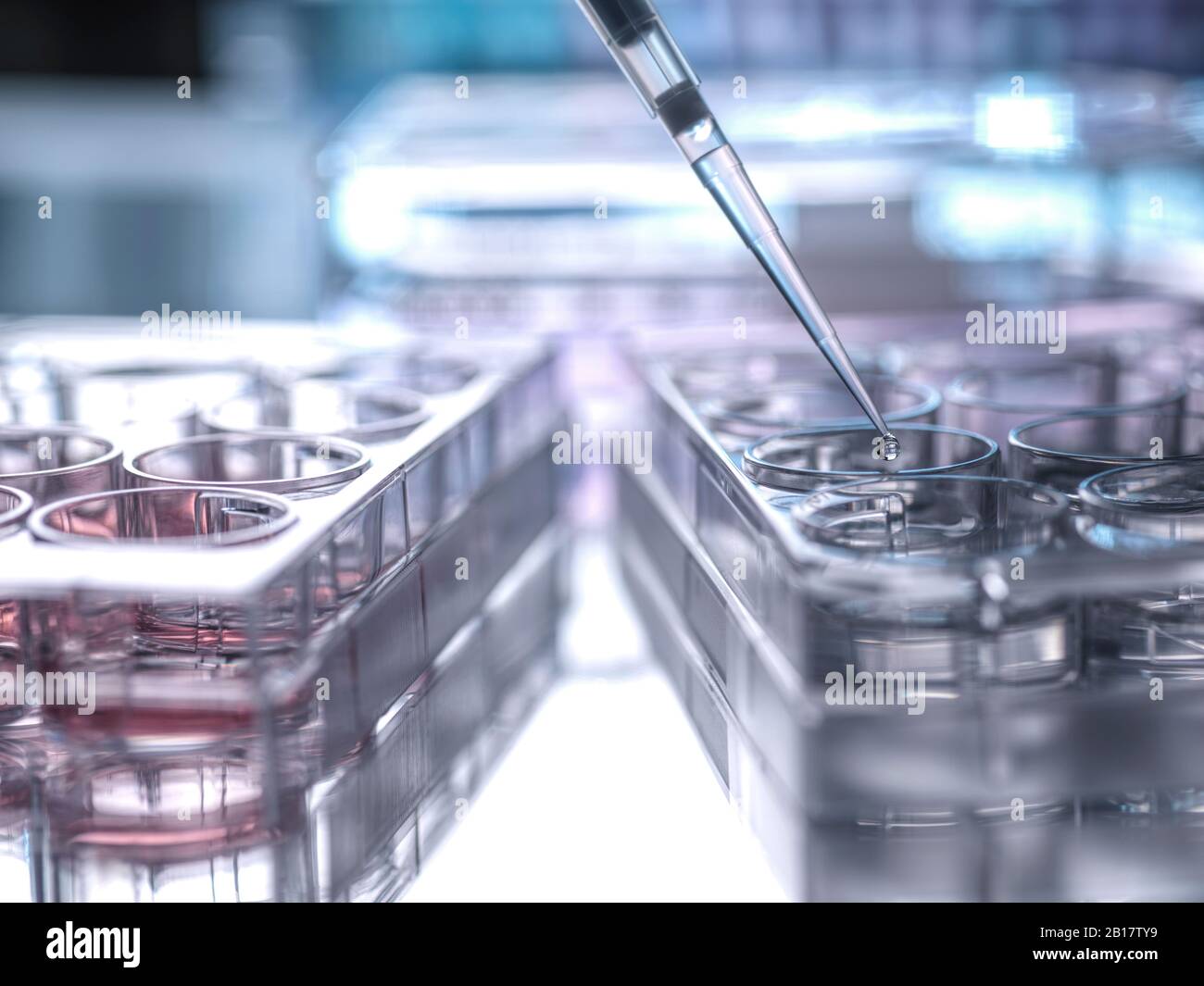 Close-up of sample being pipetted into microplate Stock Photo - Alamy
