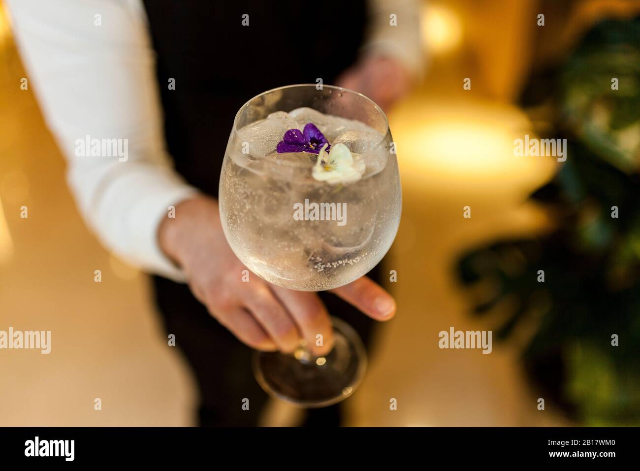 Waiter serving a gin and tonic Stock Photo - Alamy