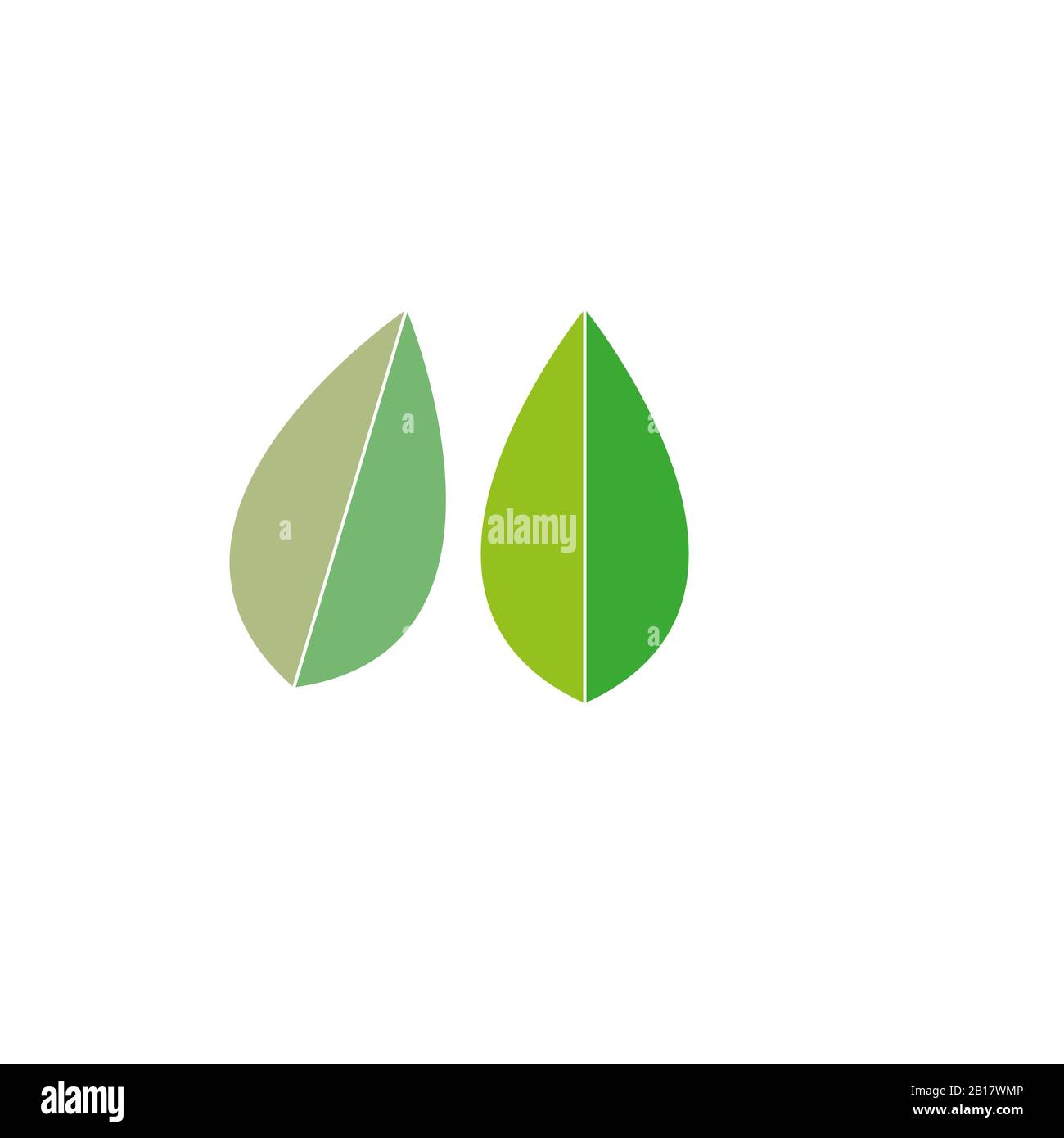 Tree Leaf Vector icon Illustration design template Stock Vector Image ...