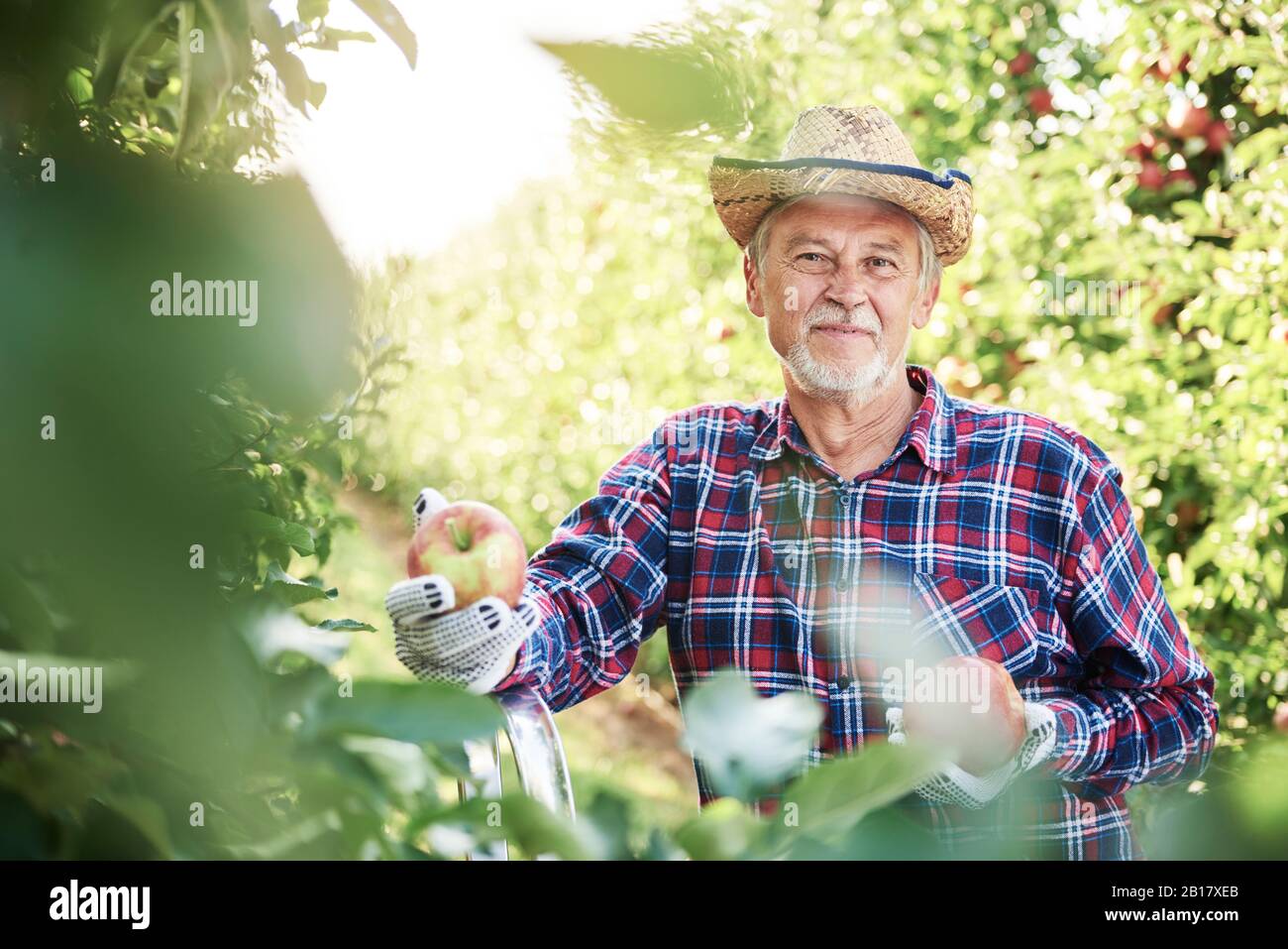 Professional fruit growers hi-res stock photography and images - Alamy