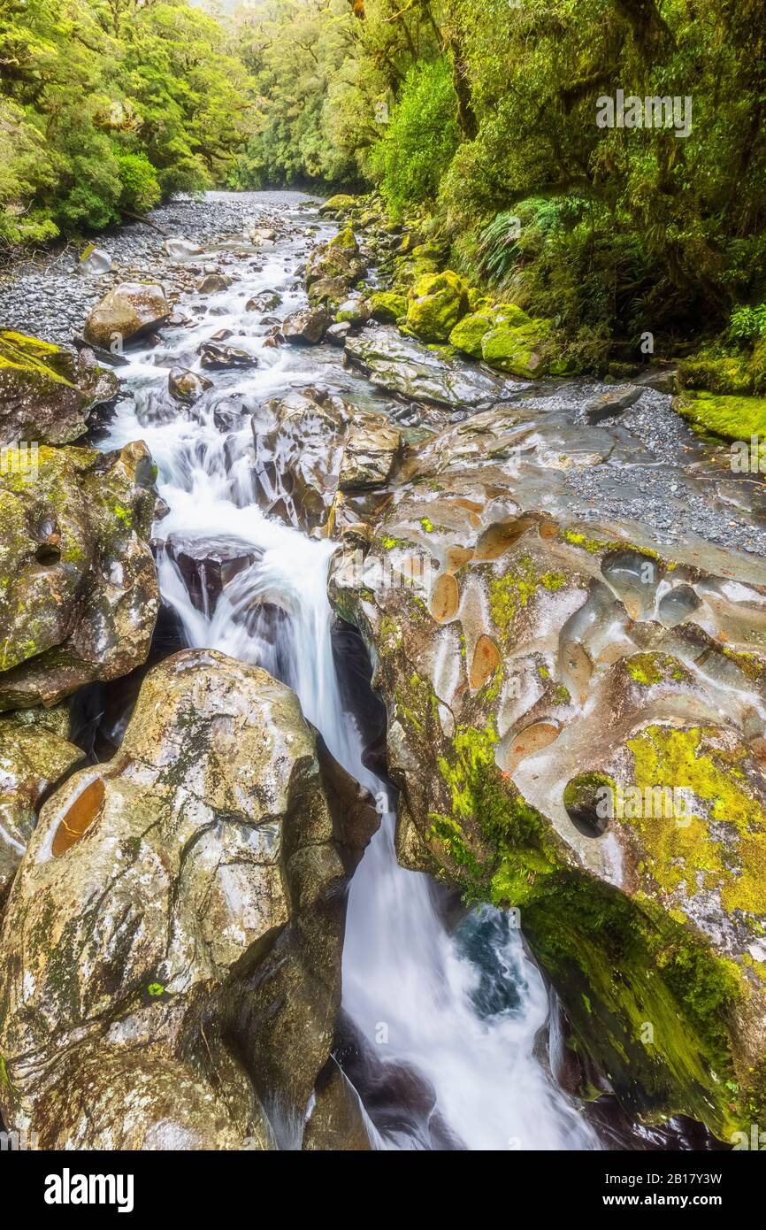 New Zealand, Oceania, South Island, Southland, Fiordland National Park ...