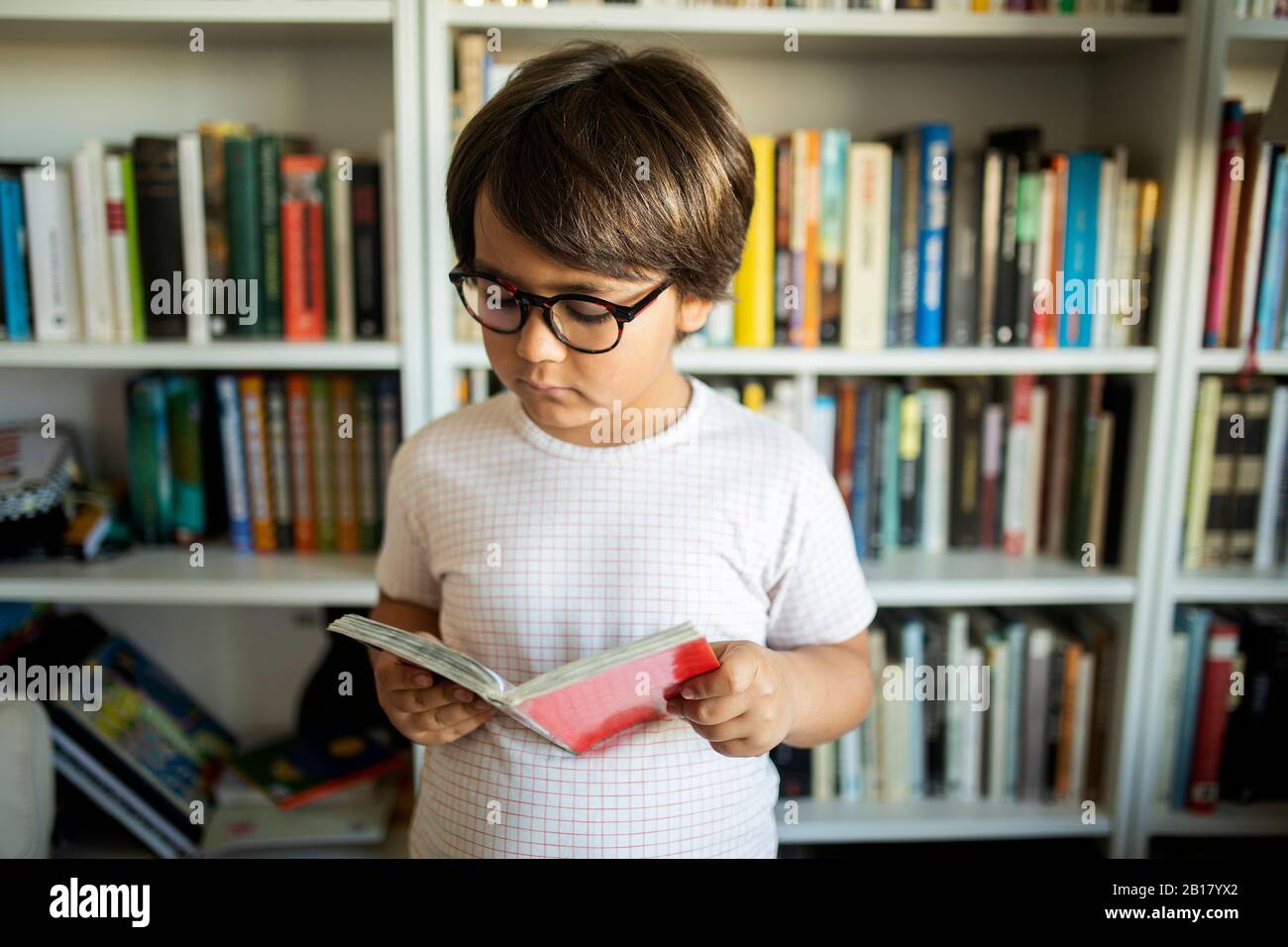 Boy reading a book standing up hi-res stock photography and images - Alamy