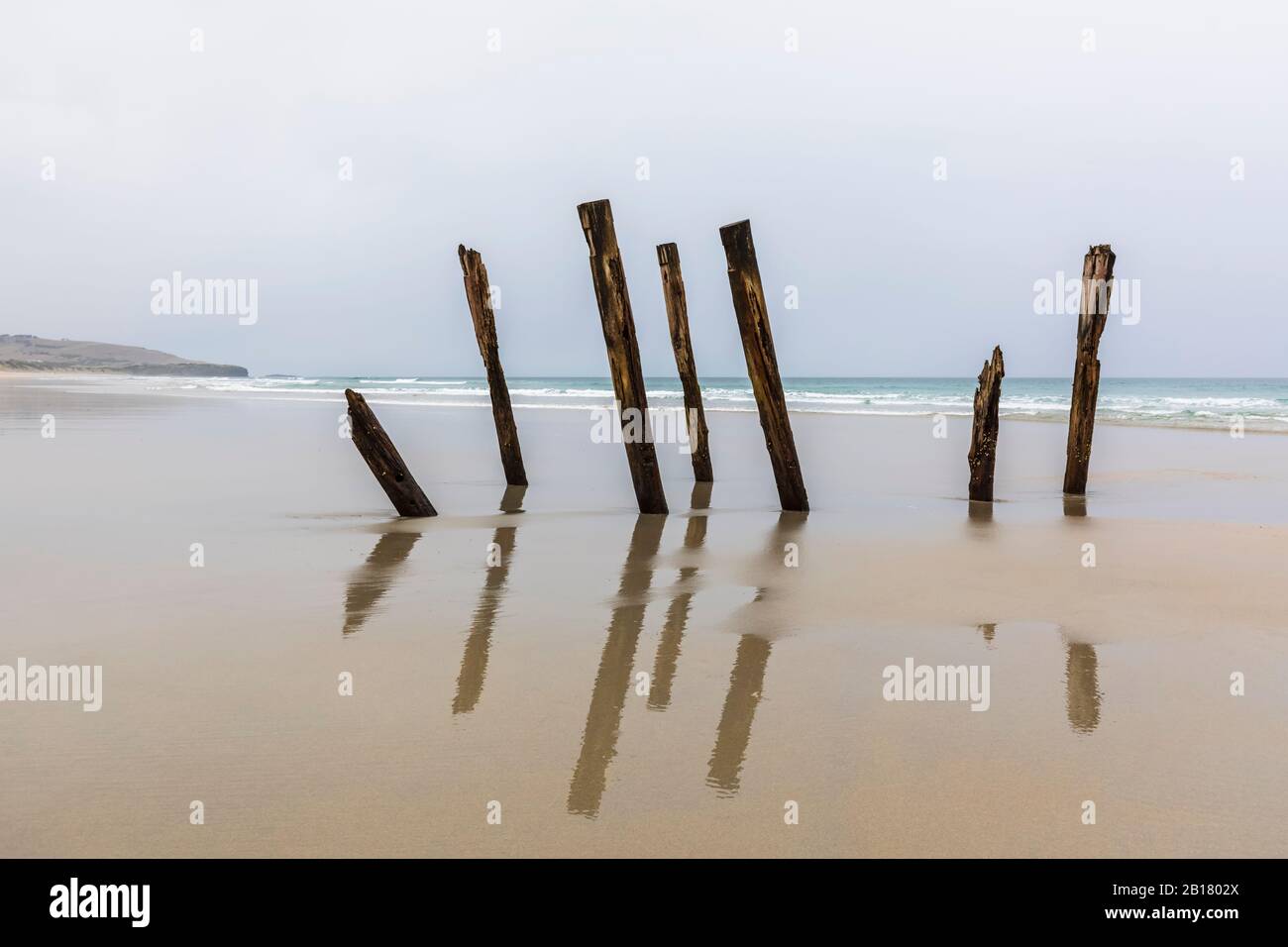 Old pier posts on hi-res stock photography and images - Alamy