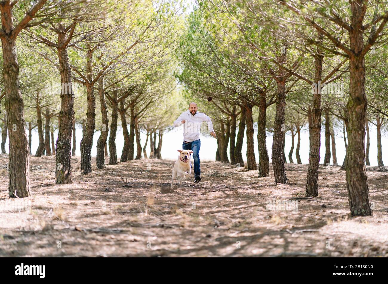 Man running with his dog in a park Stock Photo - Alamy