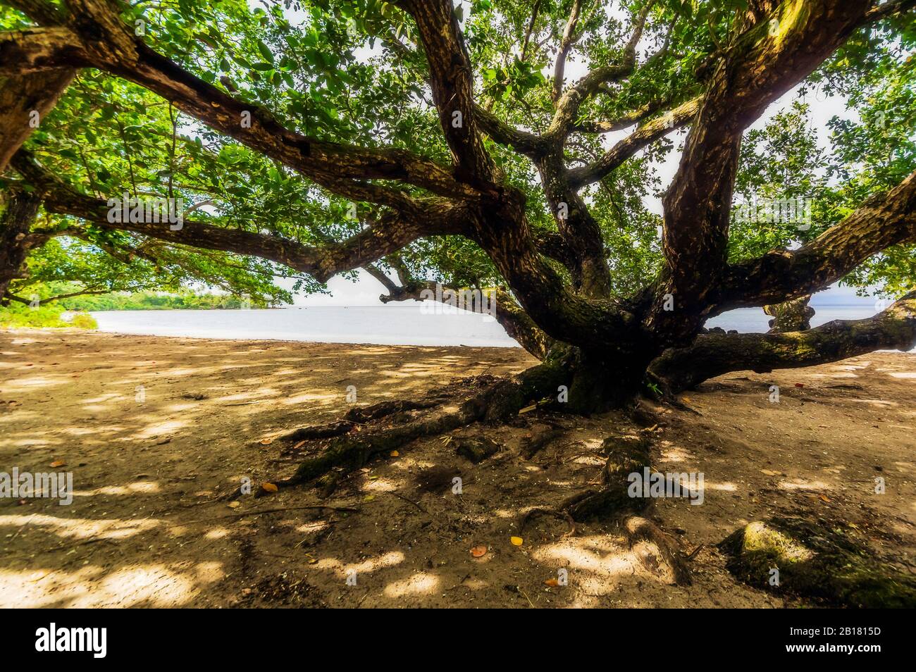 Papua New Guinea Kitava Island High Resolution Stock Photography and ...