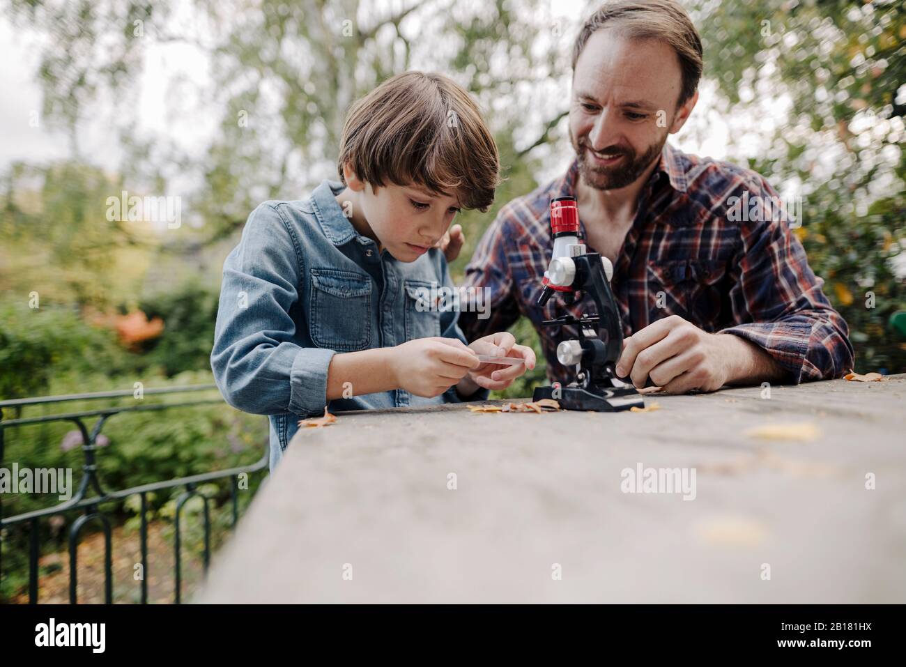 Father and son looking at objects under a microscope Stock Photo - Alamy