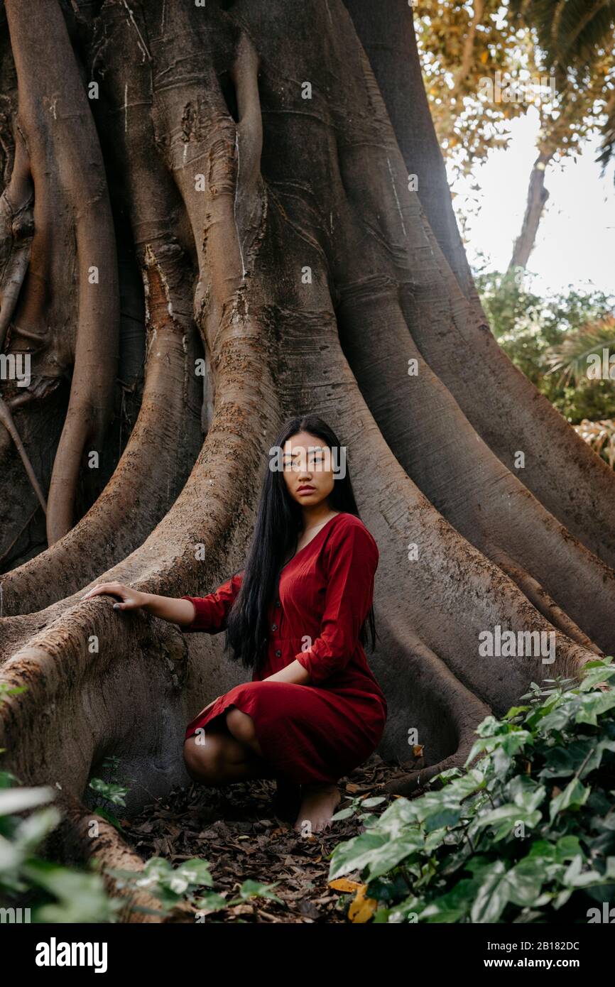 Young asian woman in front of a tree with very large roots Stock Photo ...
