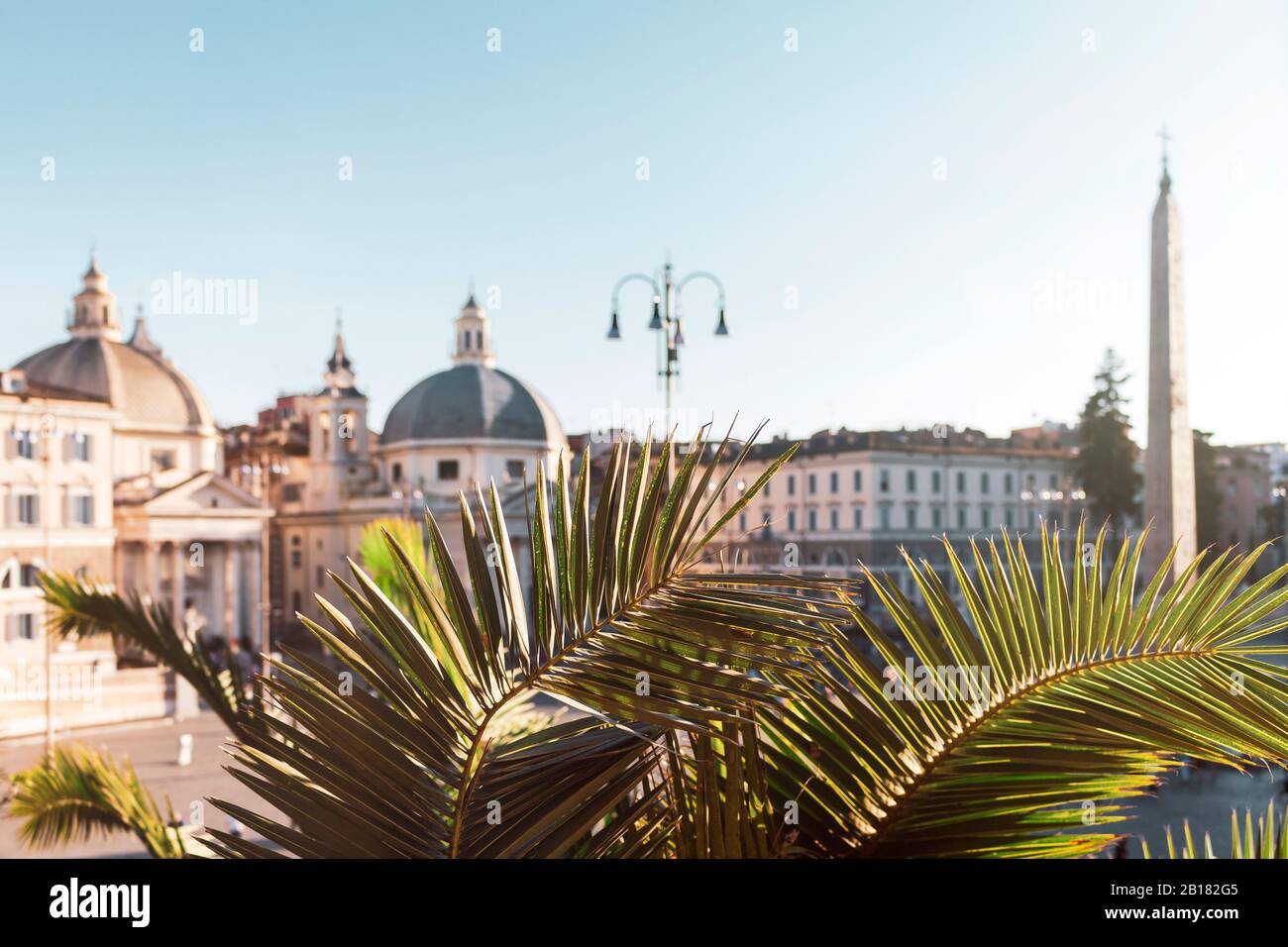 Italy, Rome, Palm tree branches against buildings of Piazza del Popolo ...