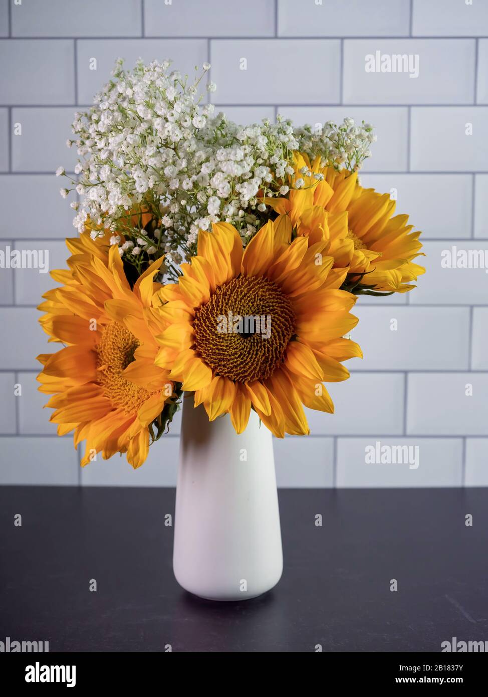 Yellow sunflower and white babies breath cut flower arrangement in a ...
