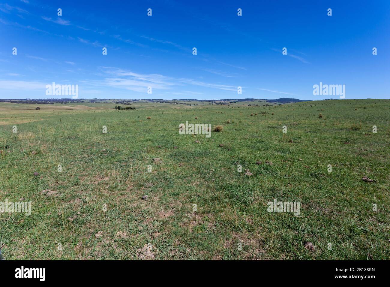 Tamworth australia hi-res stock photography and images - Alamy