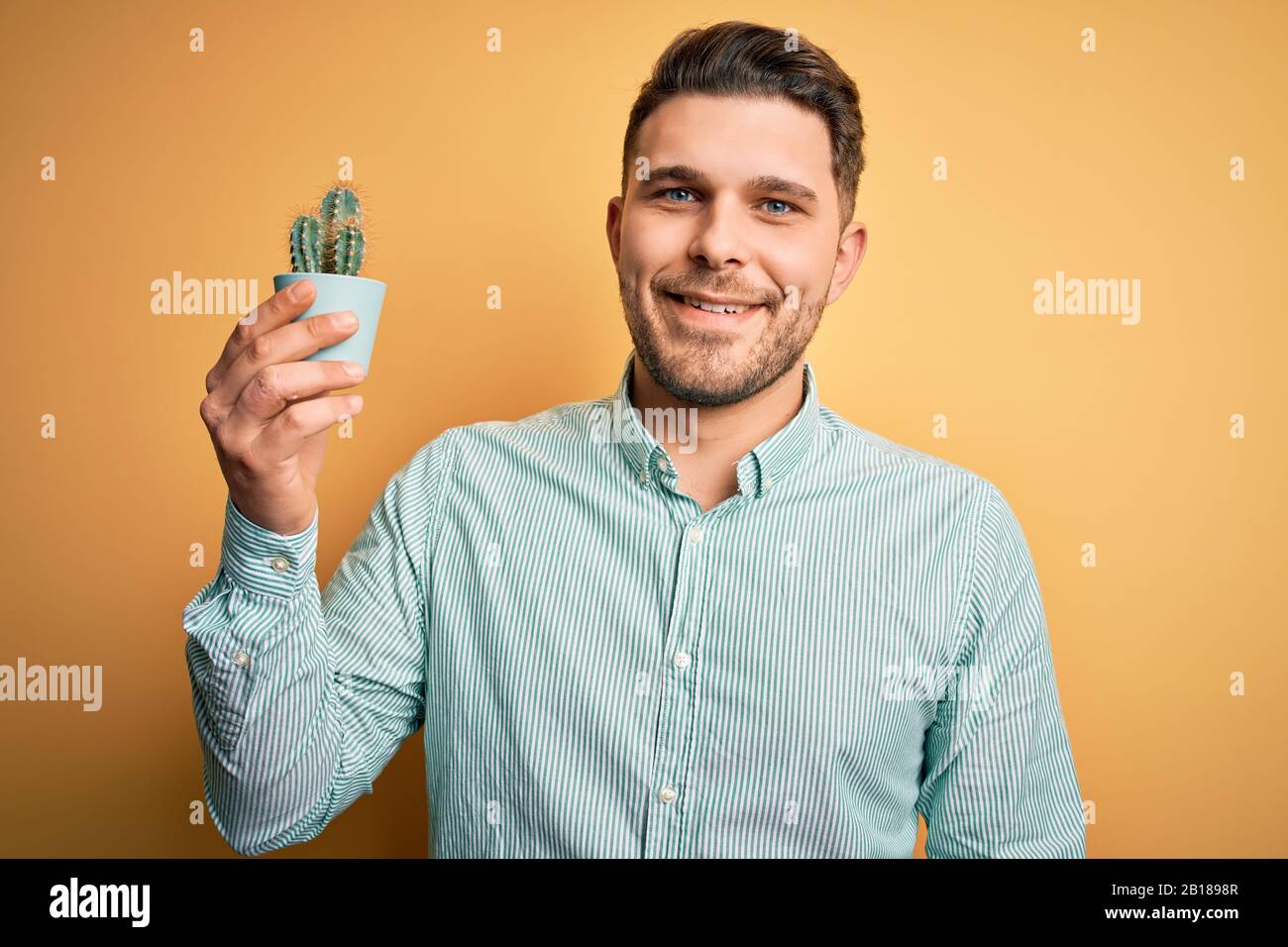 Young man with blue eyes holding fresh cactus plant pot over yellow ...
