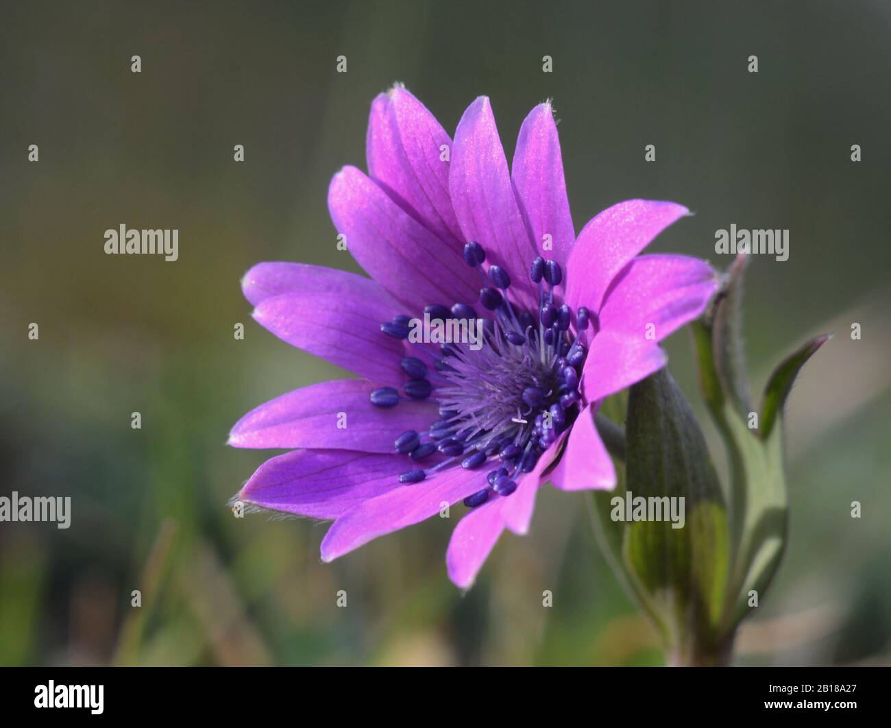Photography variation hi-res stock photography and images - Alamy
