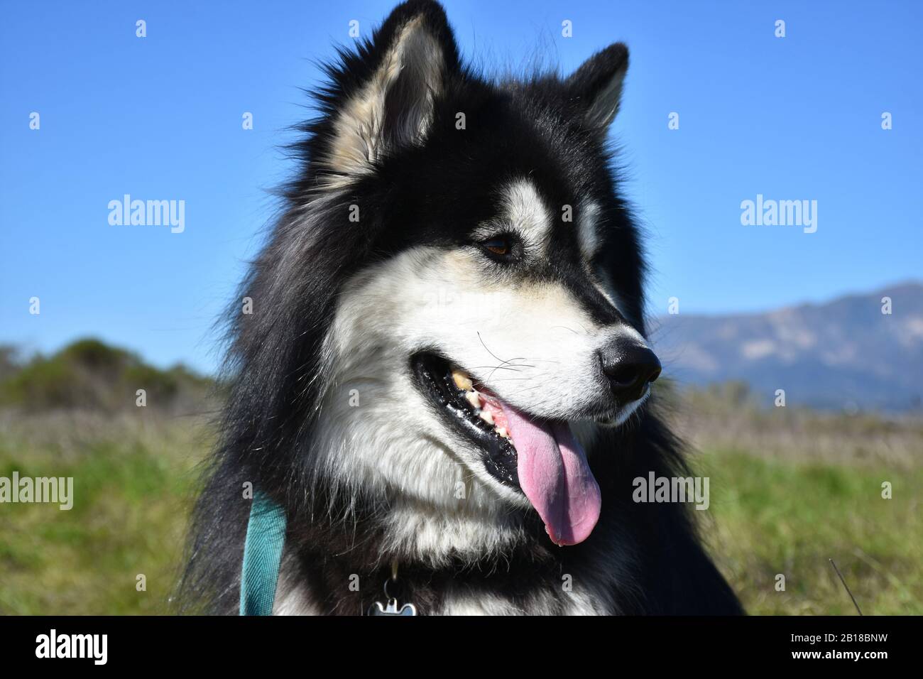 Alusky hi-res stock photography and images - Alamy