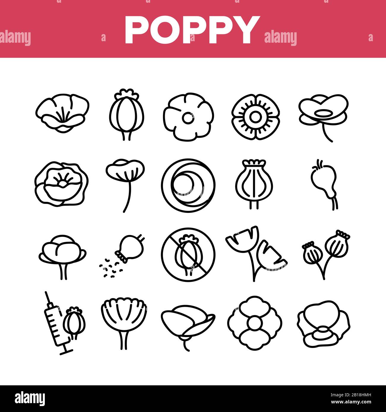 Poppy Natural Flower Collection Icons Set Vector Stock Vector Image ...