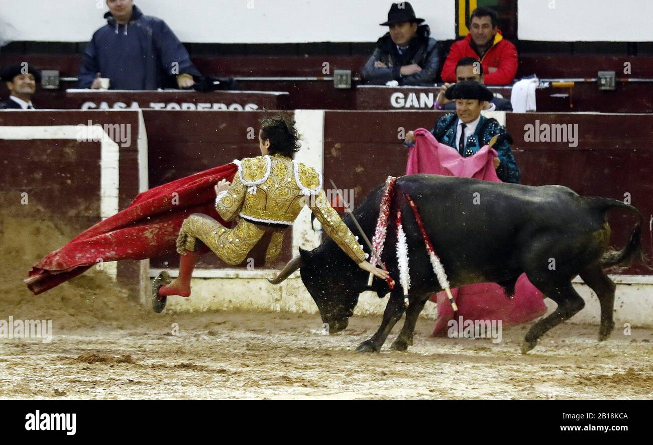 Bullfighter Gored Stock Photos & Bullfighter Gored Stock Images - Alamy