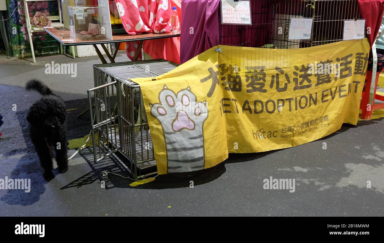 Rescue animals hi-res stock photography and images - Alamy