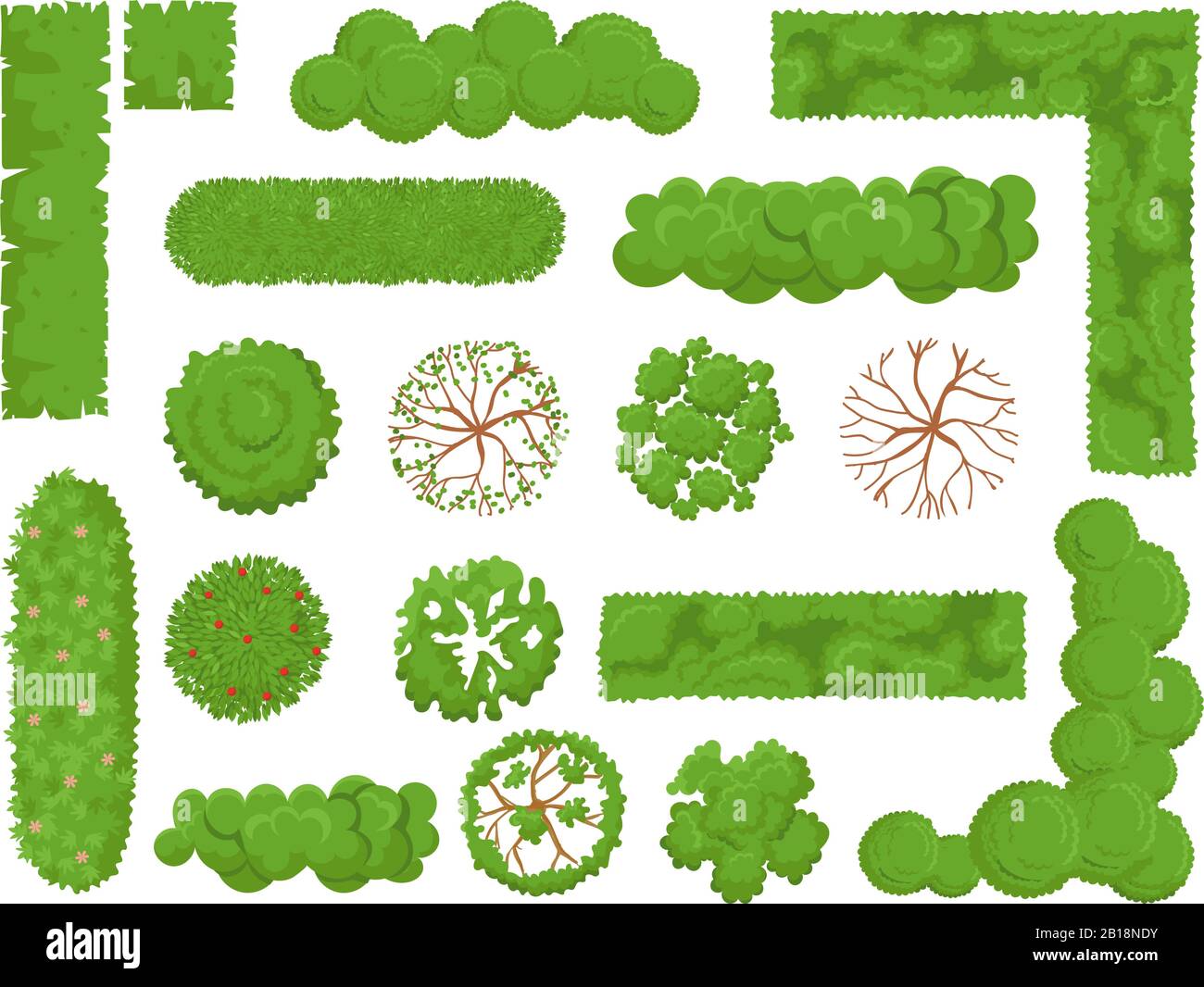 Top view trees and bushes. Forest tree, green park bush and plant map ...