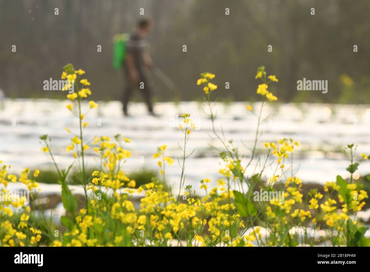Li jianxin hi-res stock photography and images - Alamy